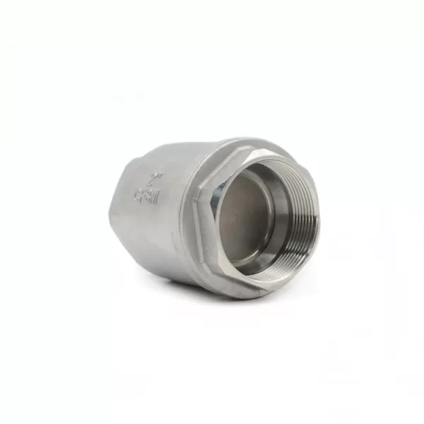 VÁLVULA CHECK 2″ UNIDIRECCIONAL VERTICAL ROSCADA INOX 316 | Equaboiler