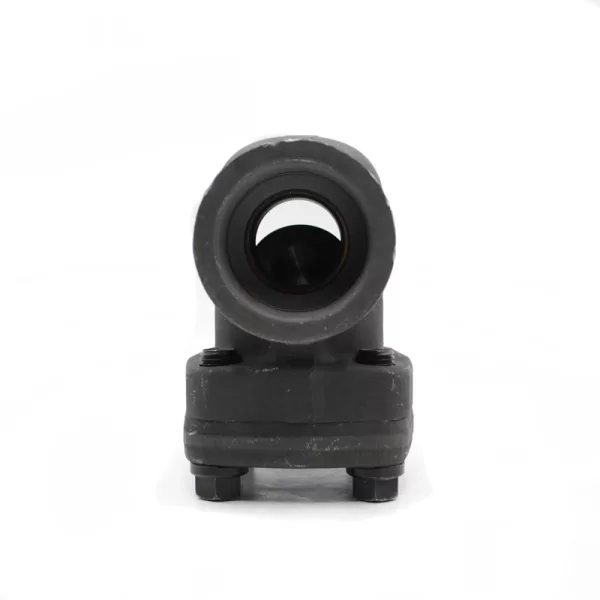 VÁLVULA CHECK SHARPE CLASE 800 A105 2″ ROSCADA S ACERO FORJADO 1975 PSI 24834SC | Equaboiler